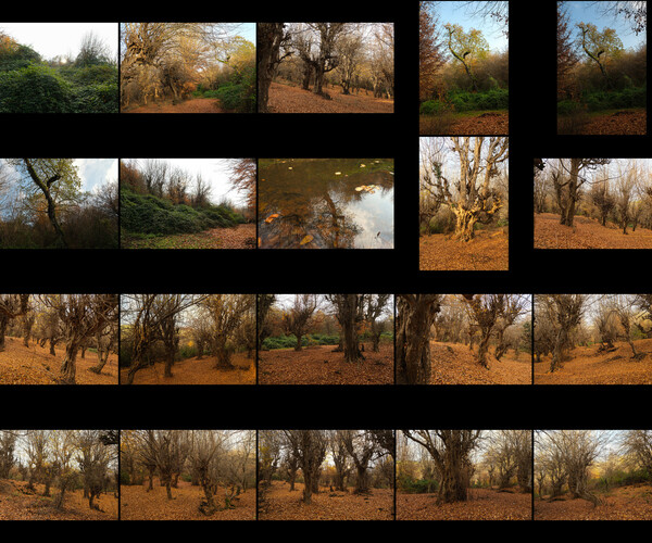 ArtStation - Nature Photo Pack (North of Iran) | Resources