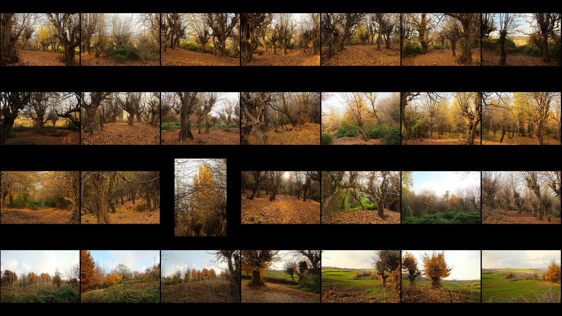 ArtStation - Nature Photo Pack (North of Iran) | Resources