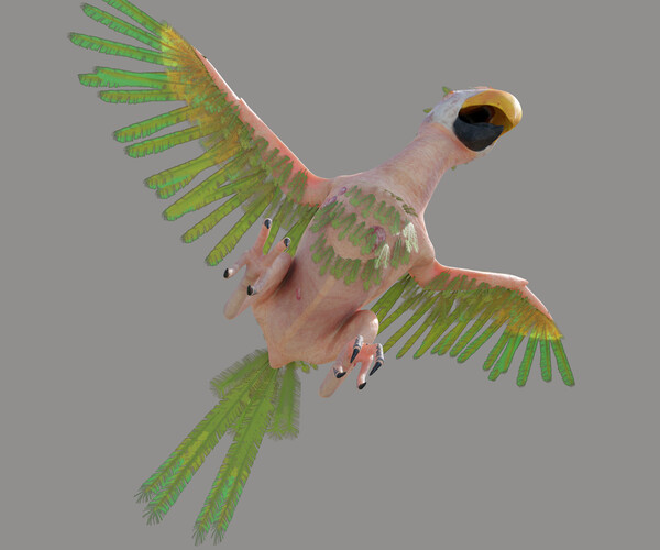 ArtStation - Green Bird Monster | Game Assets