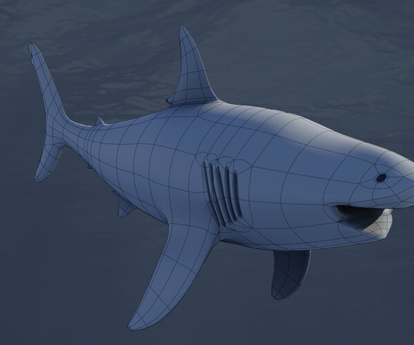 ArtStation - Shark Rigged and Animation in Blender | Game Assets