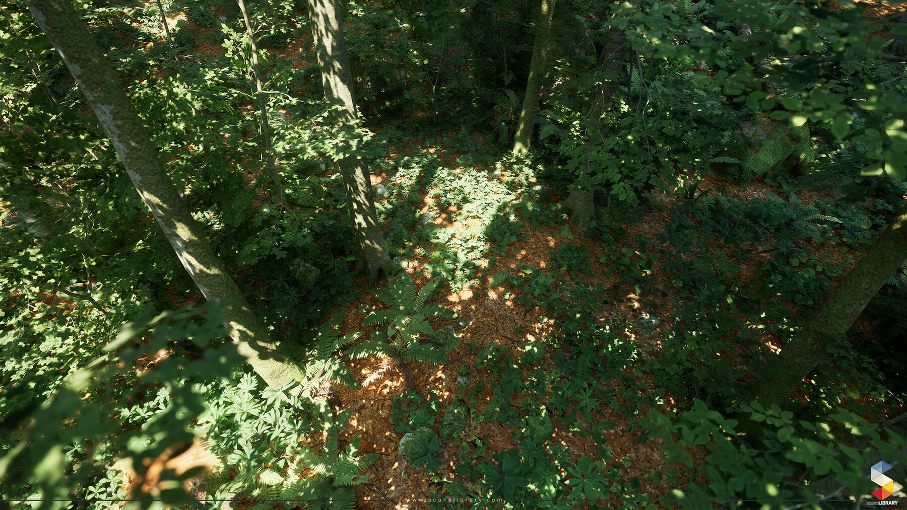 ArtStation - Beech Forest Ecosystem / UE5 | Game Assets