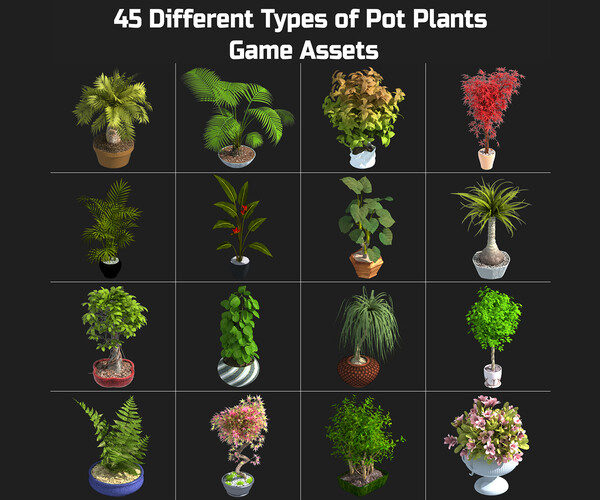 ArtStation - 45 Pot Plants Game Assets | Game Assets