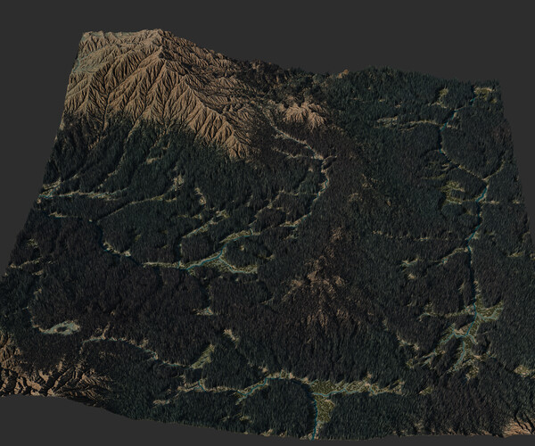 ArtStation - Boreal Forests Terrains Collection Vol.1 | 12 Terrains at 8k resolution, Heightmaps ...