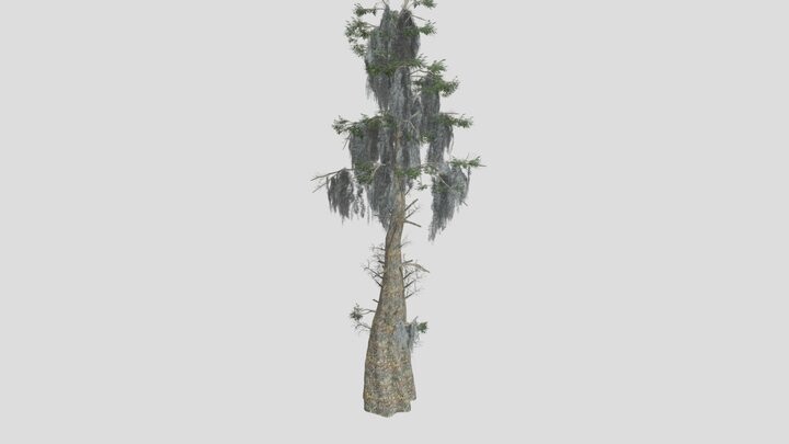 ArtStation - Bald Cypress #02 (FBX) - High Poly Tree (3D Model) | Game ...