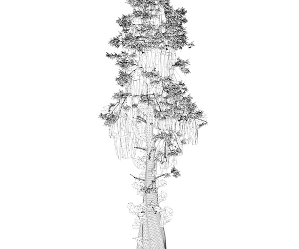 ArtStation - Bald Cypress #03 (FBX) - High Poly Tree (3D Model) | Game ...