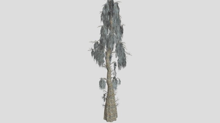 ArtStation - Bald Cypress #04 (FBX) - High Poly Tree (3D Model) | Game ...