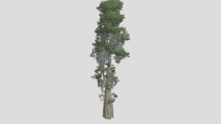 ArtStation - Bald Cypress #09 (FBX) - High Poly Tree (3D Model) | Game ...