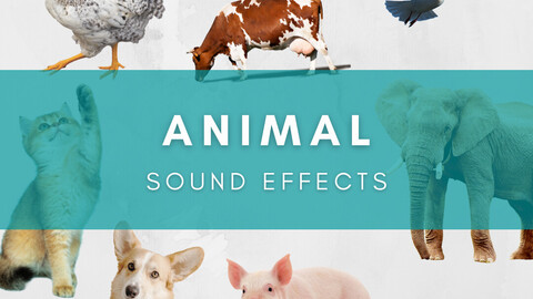 ArtStation - Animal Sound Effects | Game Assets