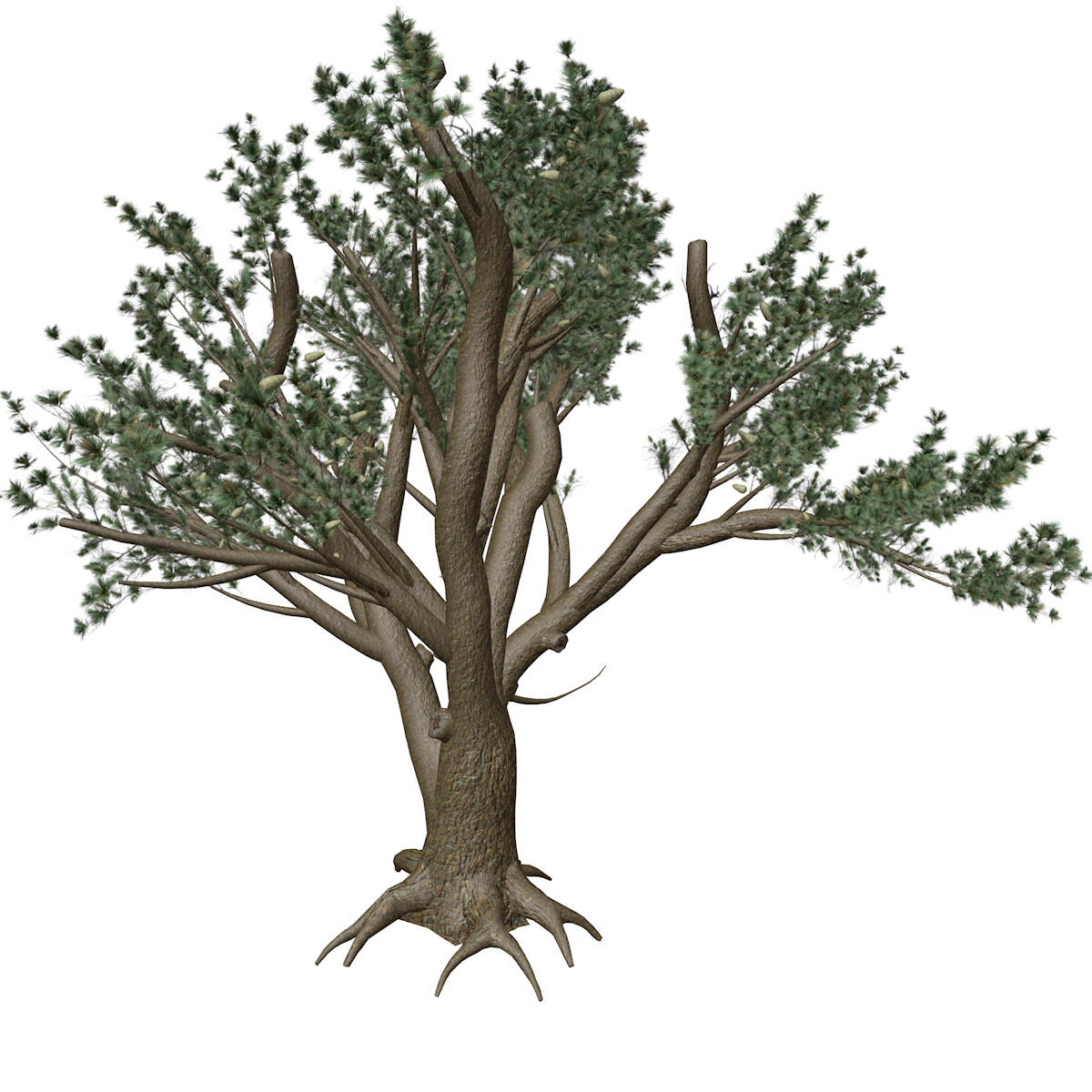 ArtStation - Cedar of Lebanon #04 (FBX) - High Poly Tree (3D Model ...