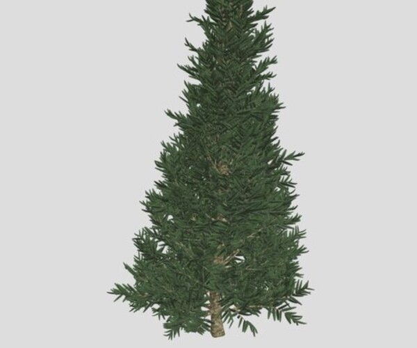 ArtStation - Fraser Fir #10 (FBX) - High Poly Tree (3D Model) | Game Assets