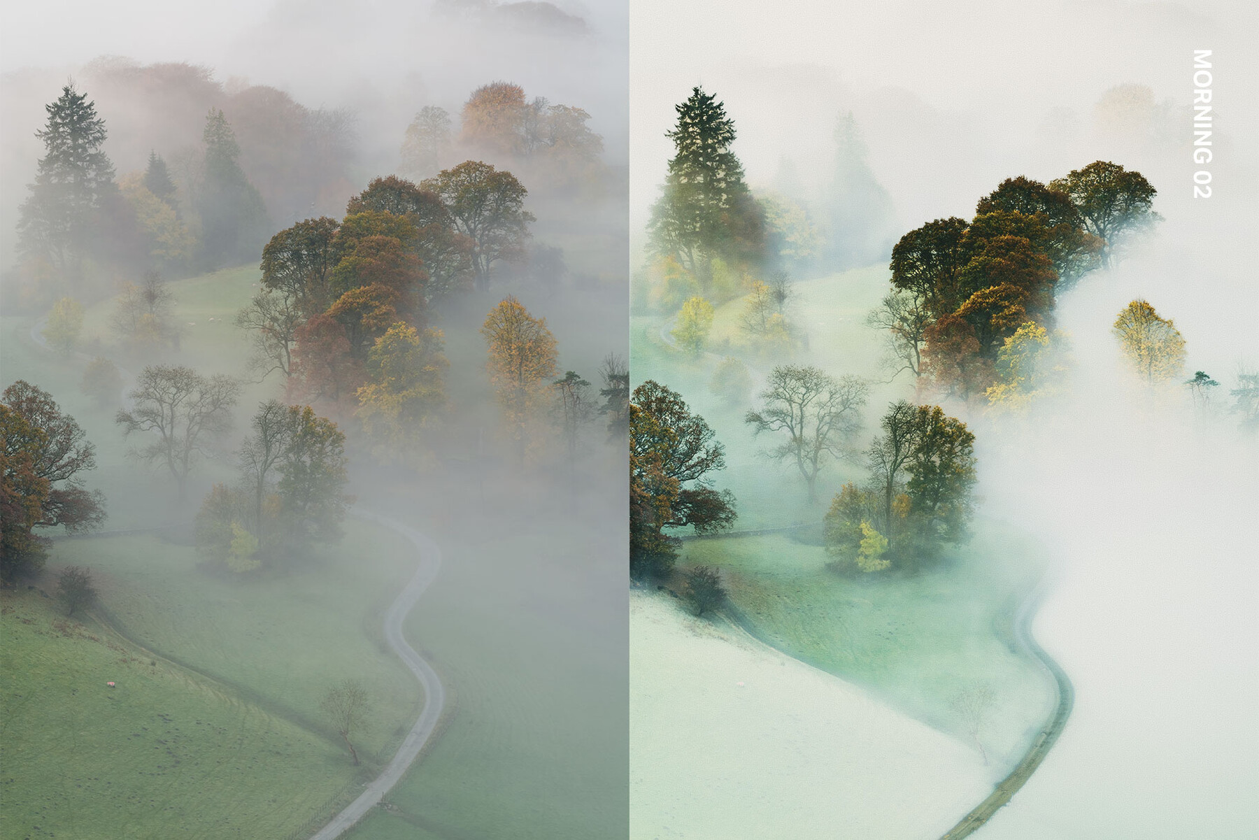 ArtStation - 14 Hazy Mood Lightroom Presets and LUTs | Artworks