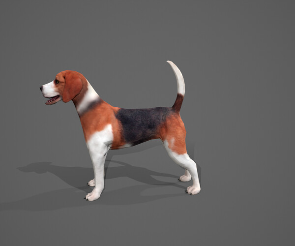 ArtStation - Beagle Dog | Game Assets