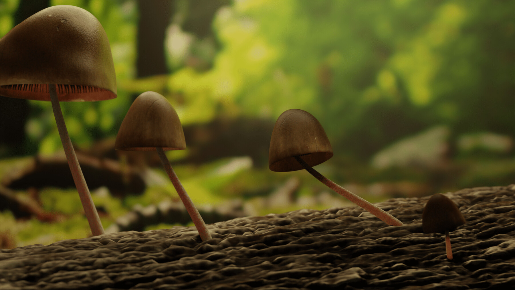 ArtStation - MushroomModel | Resources