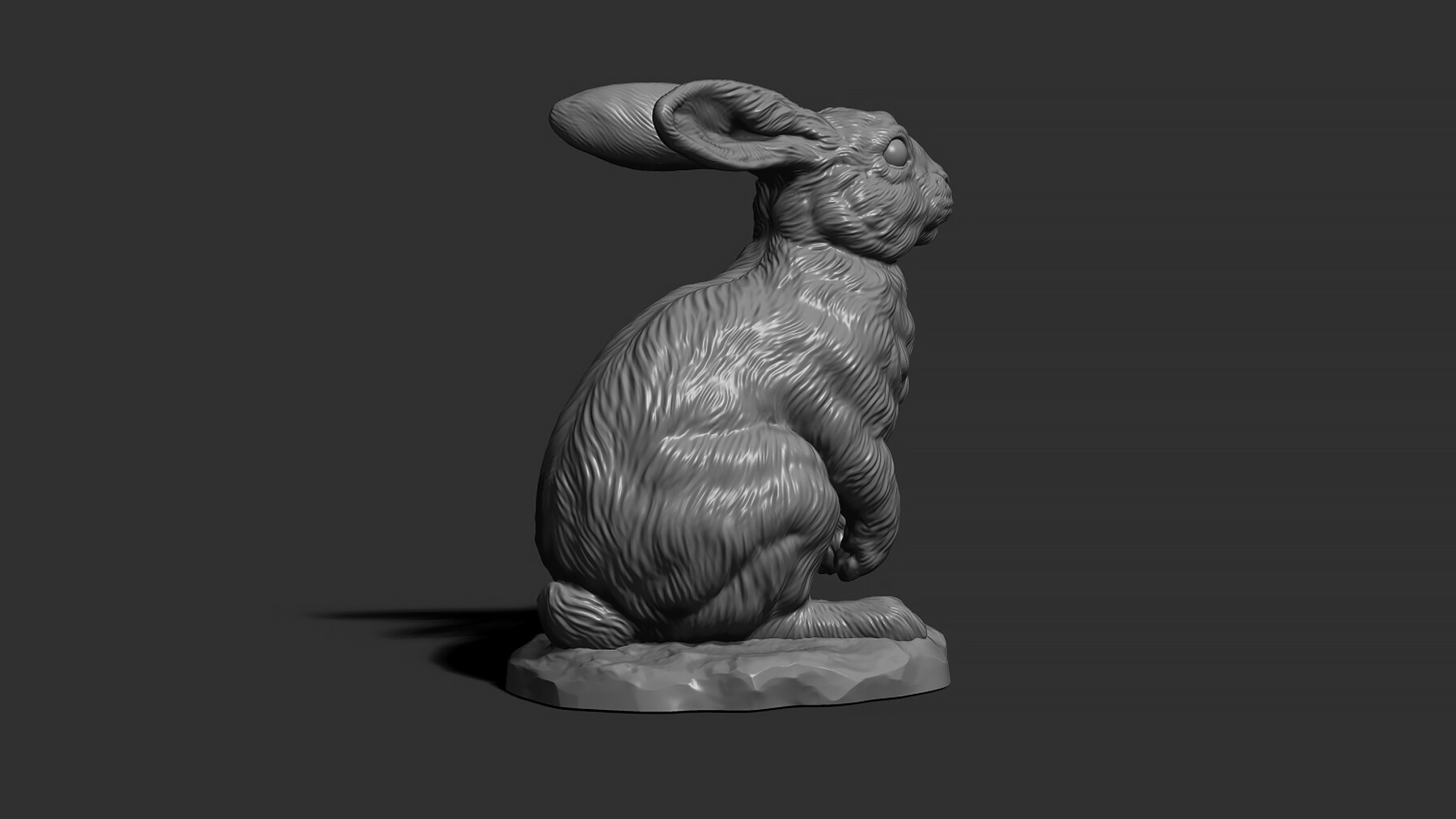 ArtStation - Rabbit sitting | Resources