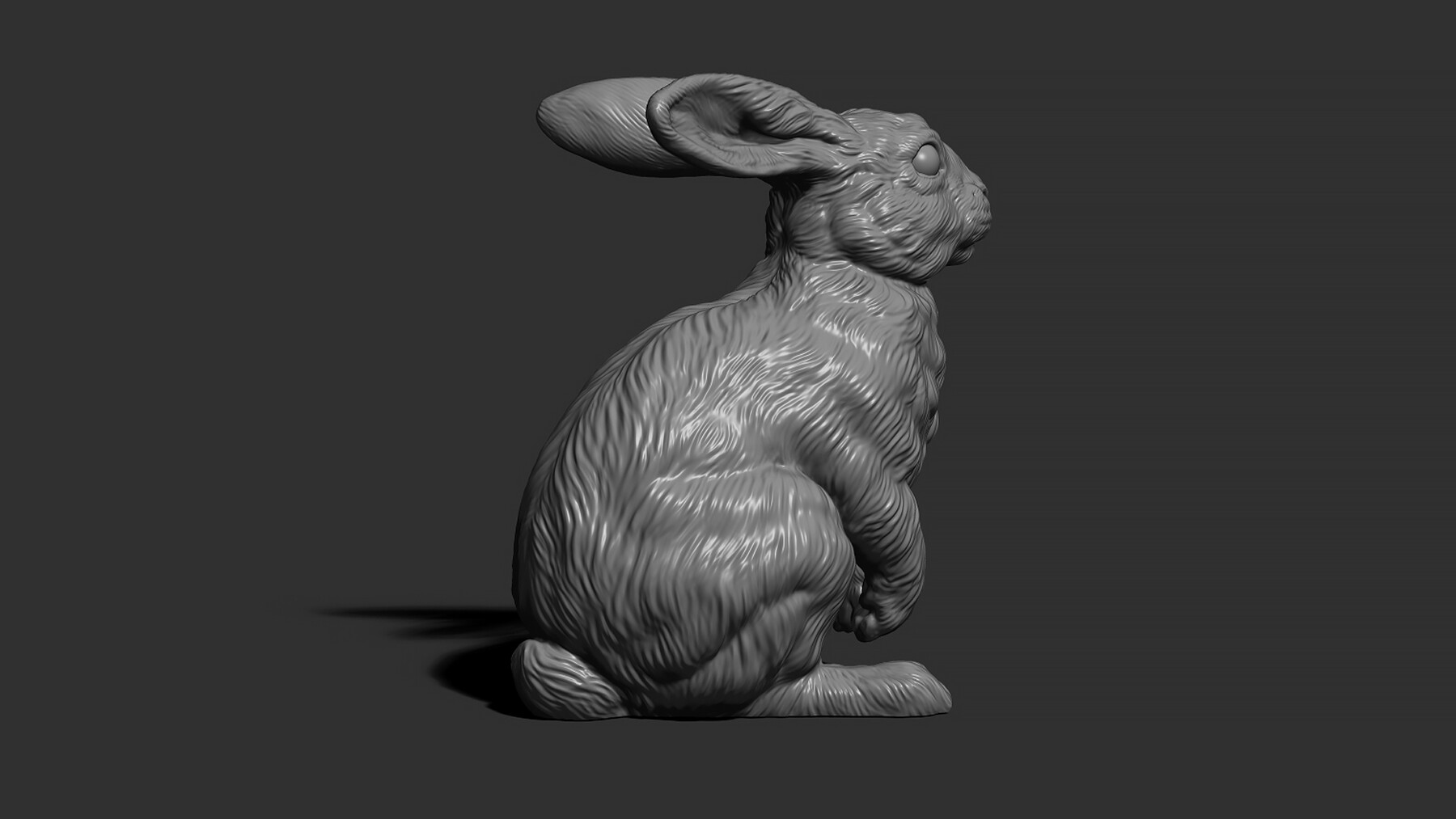 ArtStation - Rabbit sitting | Resources