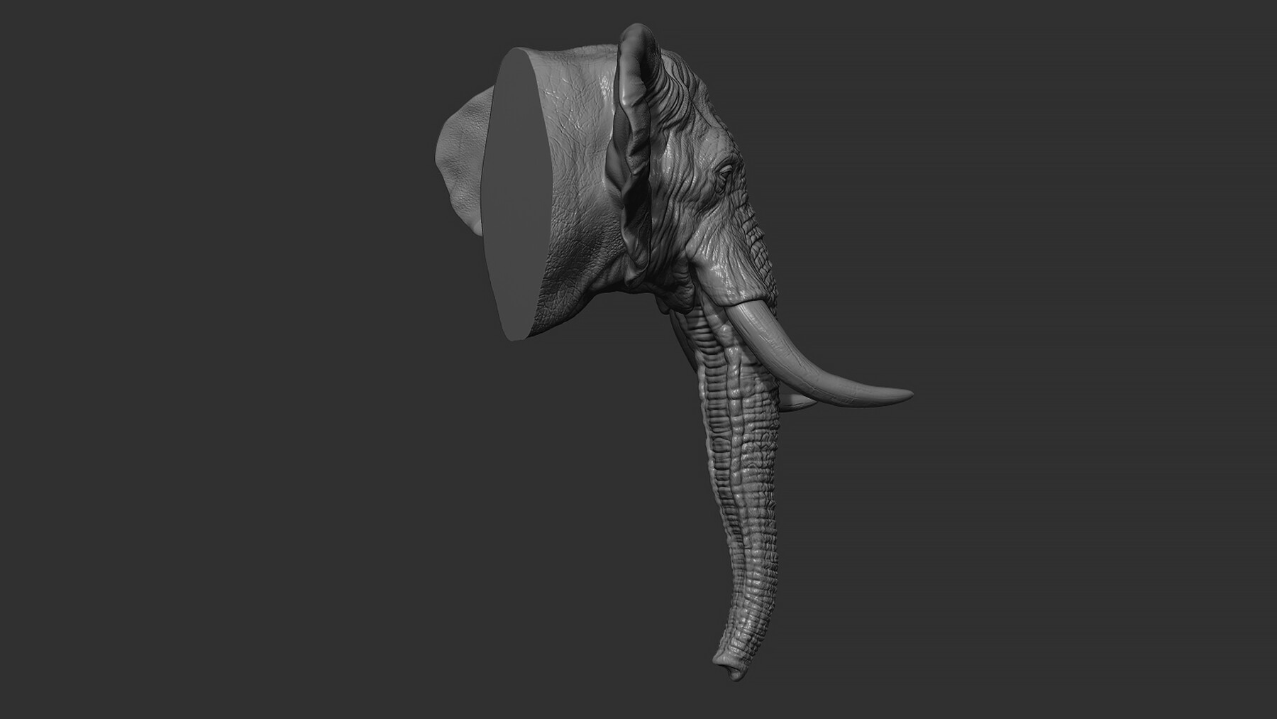 ArtStation - Elephant head with tusks | Resources