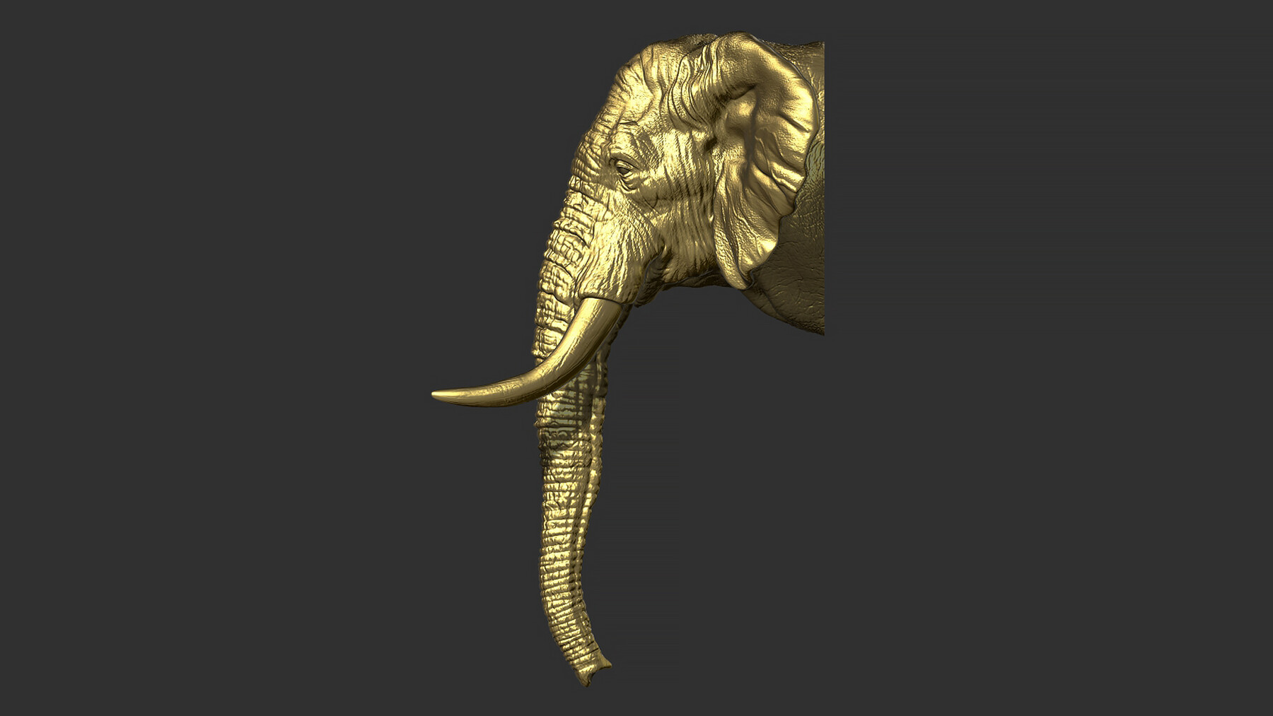 ArtStation - Elephant head with tusks | Resources
