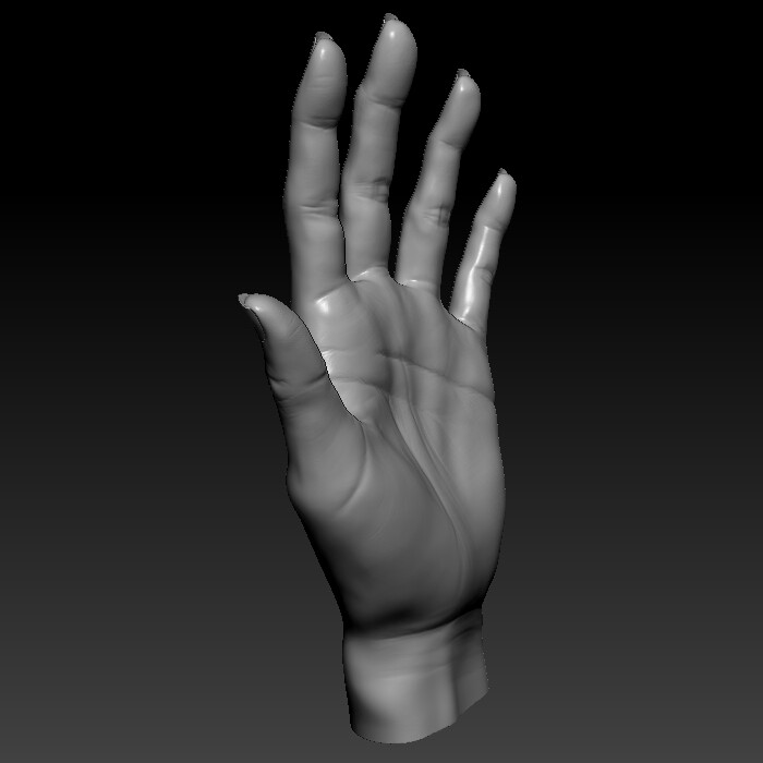 ArtStation - Hand 3D modeling | Resources