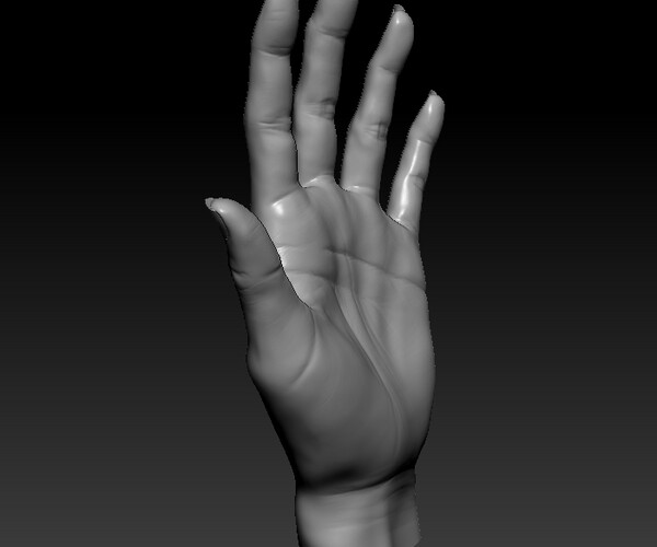 ArtStation - Hand 3D modeling | Resources