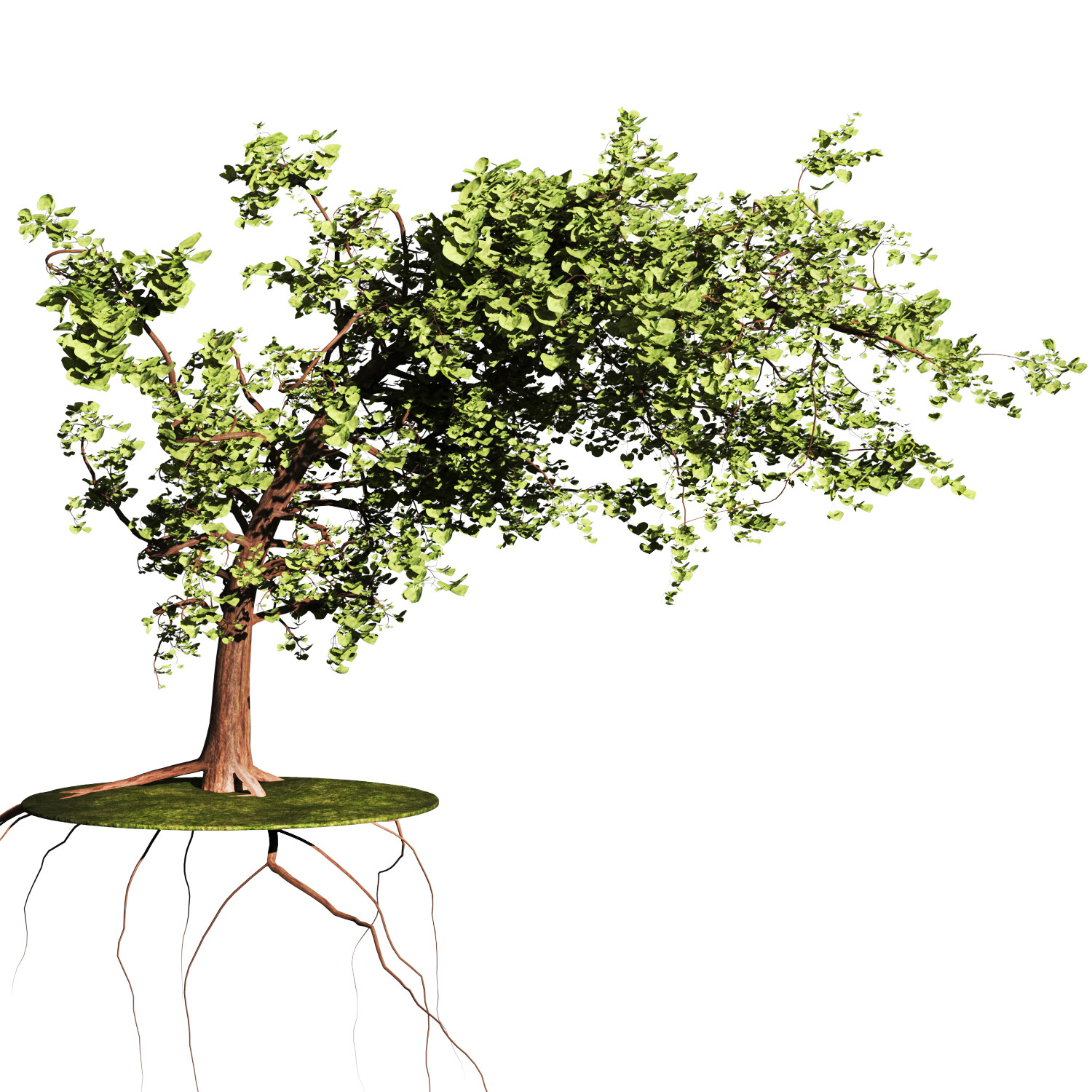 ArtStation - Twisted tree, Fantasy Garden, Jungle, roots | Game Assets