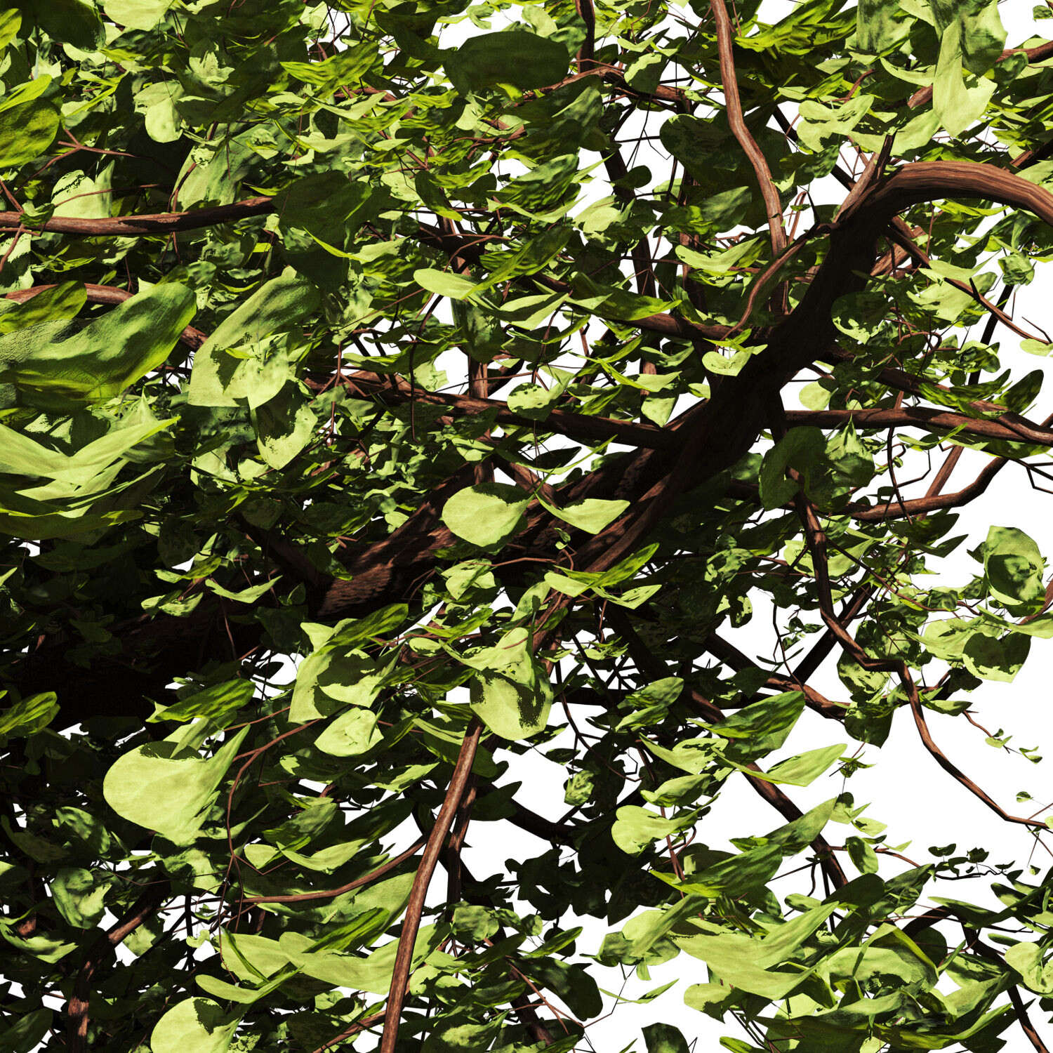 ArtStation - Twisted tree, Fantasy Garden, Jungle, roots | Game Assets