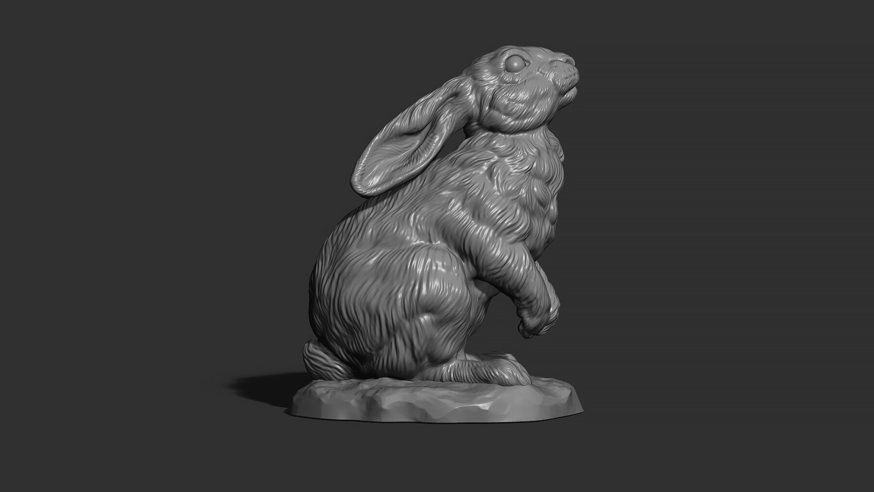 ArtStation - Hare looks up | Resources
