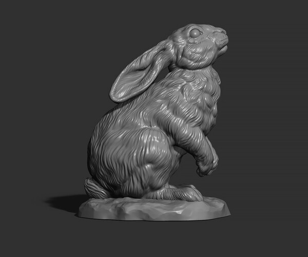 ArtStation - Hare looks up | Resources