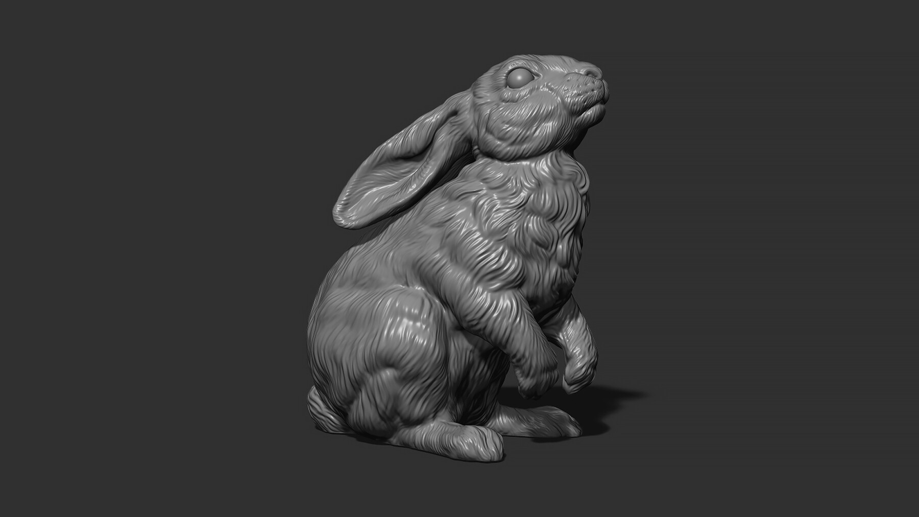 ArtStation - Hare looks up | Resources
