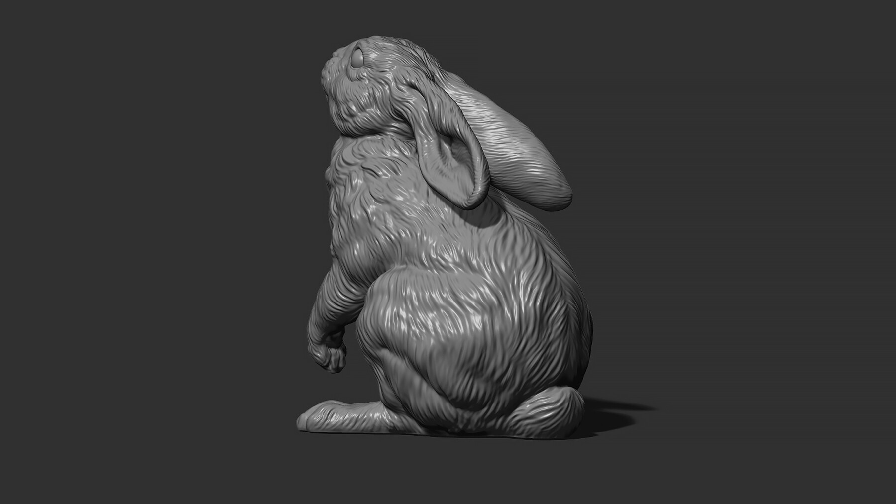 ArtStation - Hare looks up | Resources
