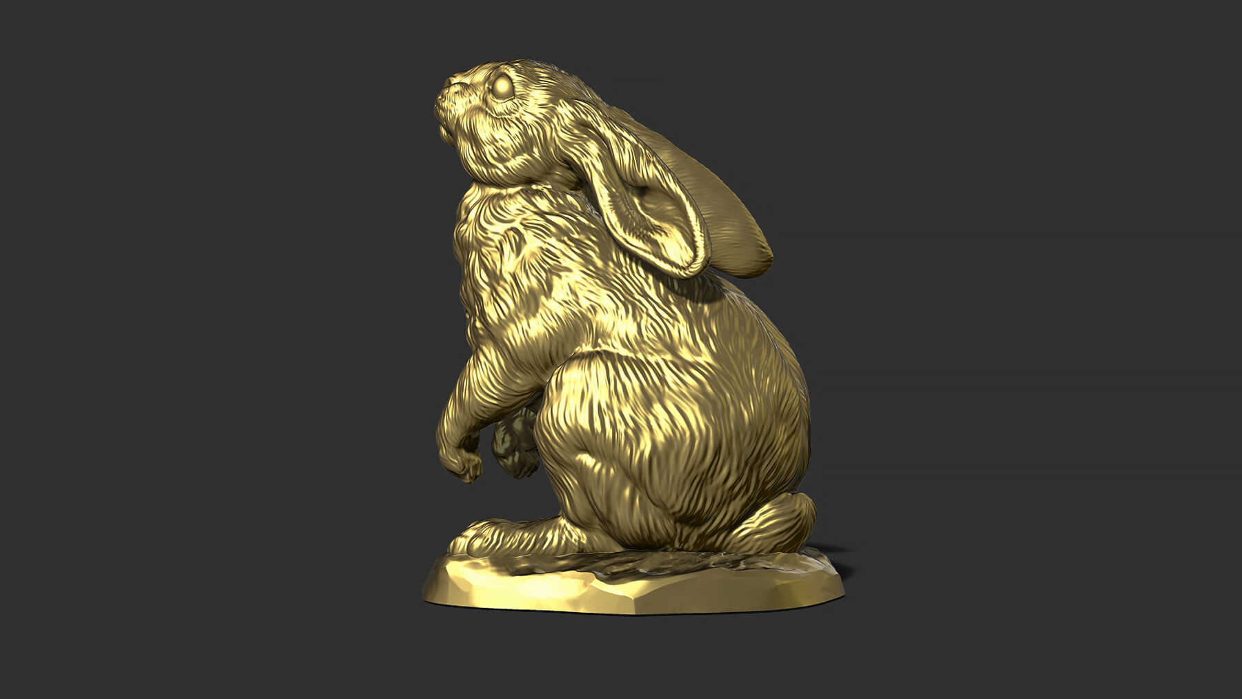 ArtStation - Hare looks up | Resources