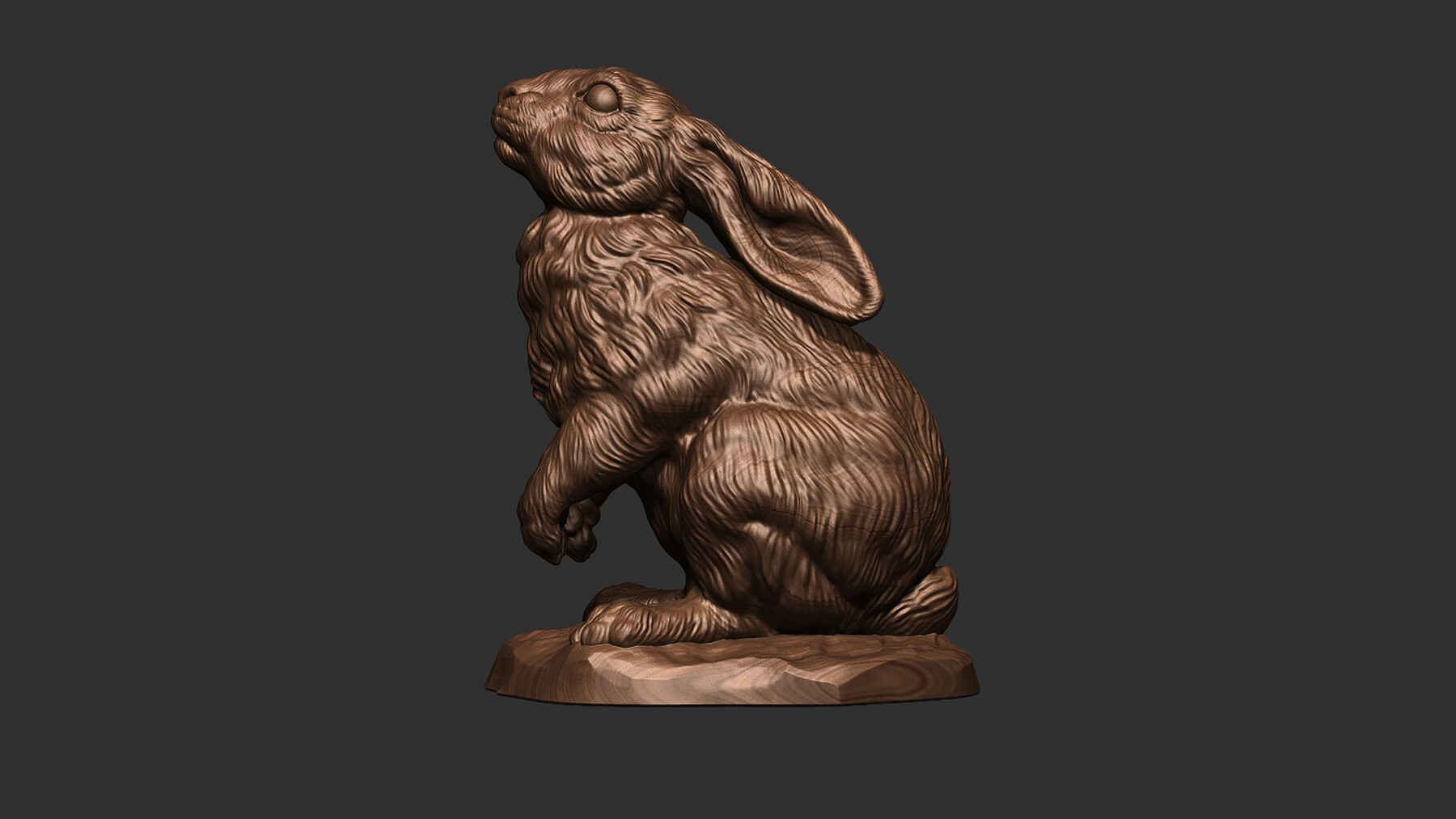 ArtStation - Hare looks up | Resources