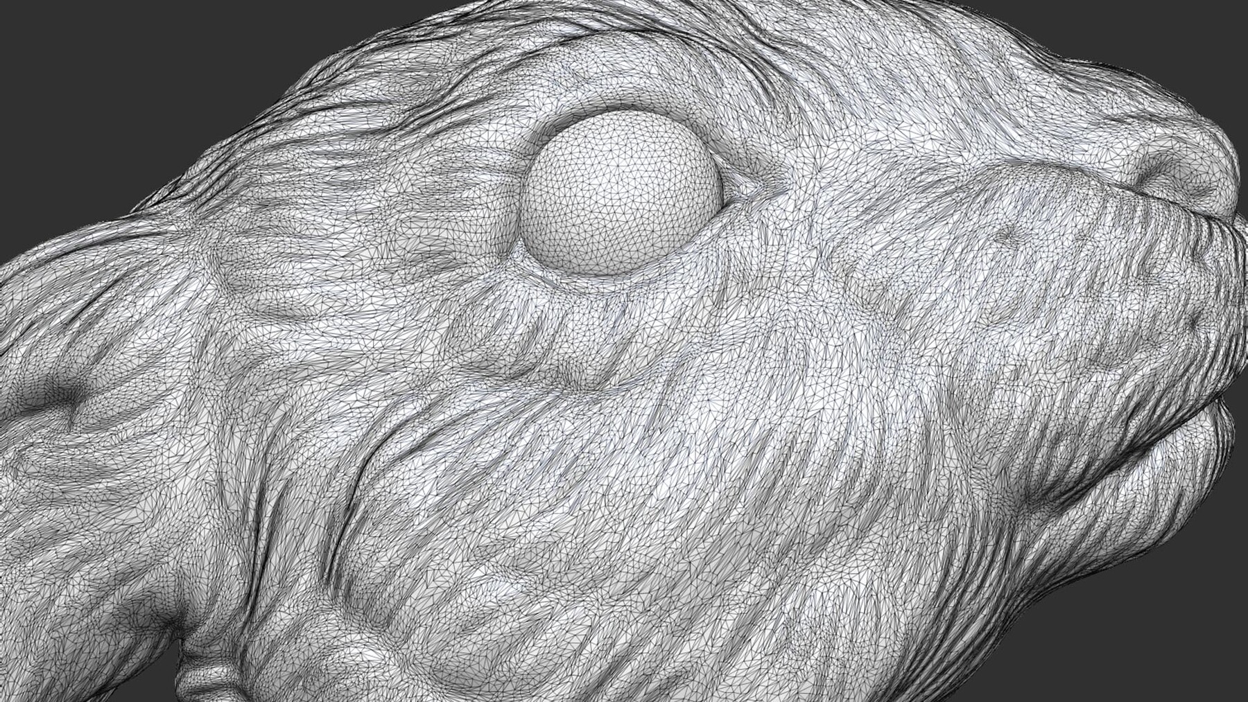 ArtStation - Hare looks up | Resources