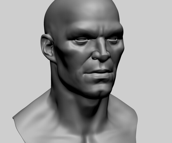 ArtStation - Stylized Male Head Printable | Resources