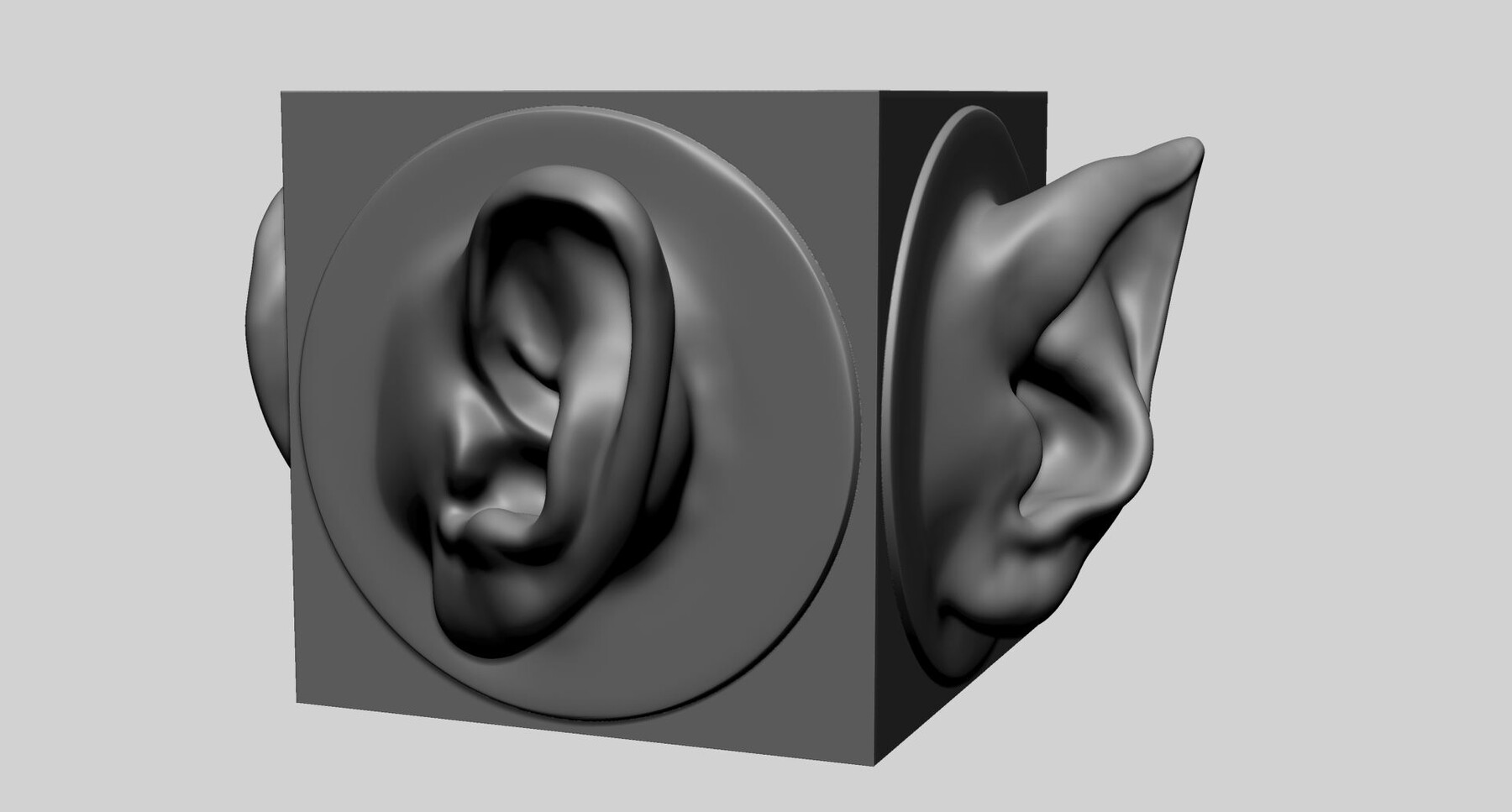 ArtStation - Ear Models for 3DPrint | Resources
