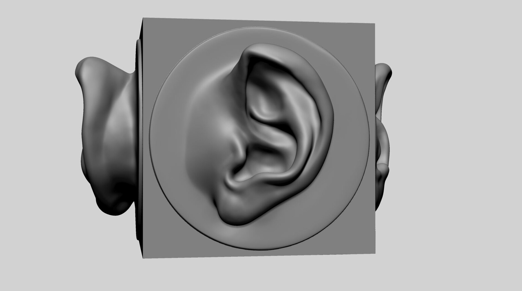 ArtStation - Ear Models for 3DPrint | Resources