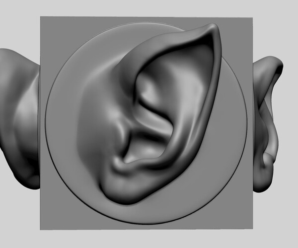 ArtStation - Ear Models for 3DPrint | Resources