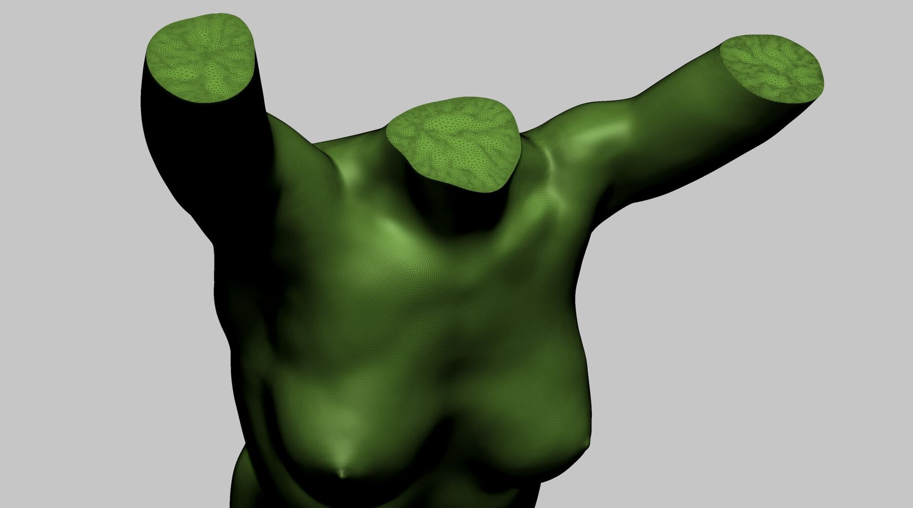 ArtStation - Female Torso Printable A | Resources