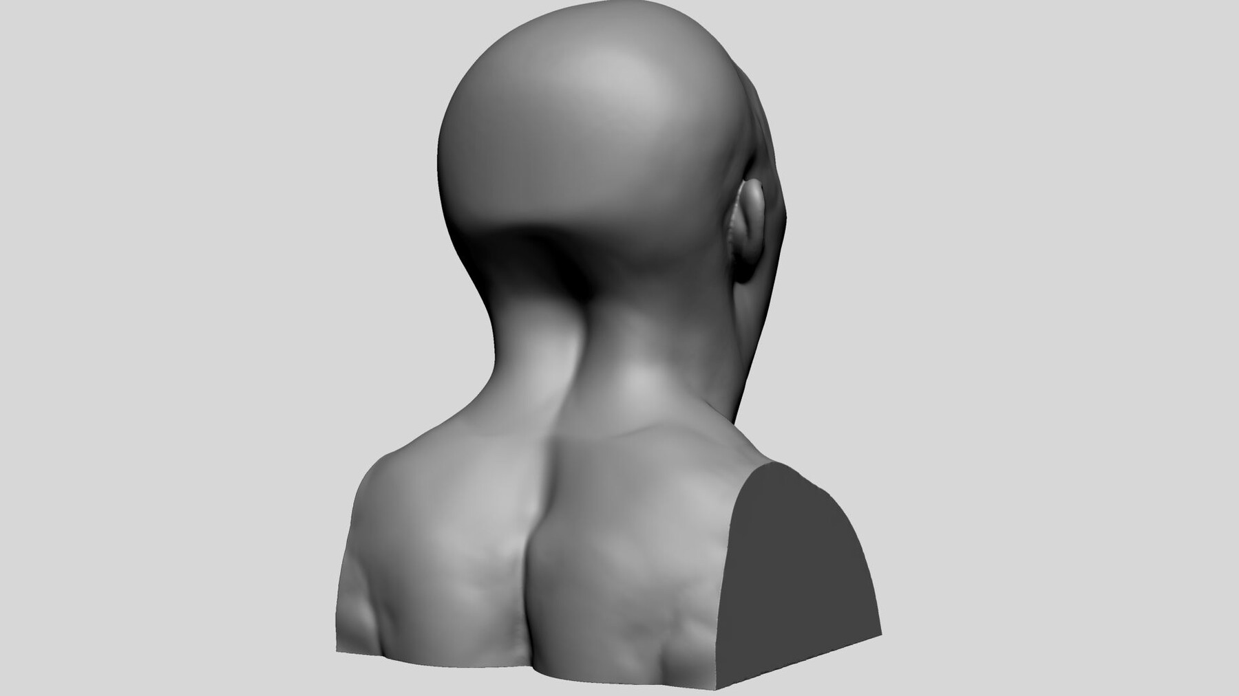ArtStation - Male Head Printable A | Resources
