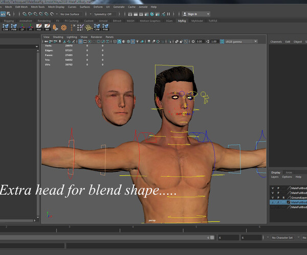 ArtStation - Male Female Base Rig | Game Assets