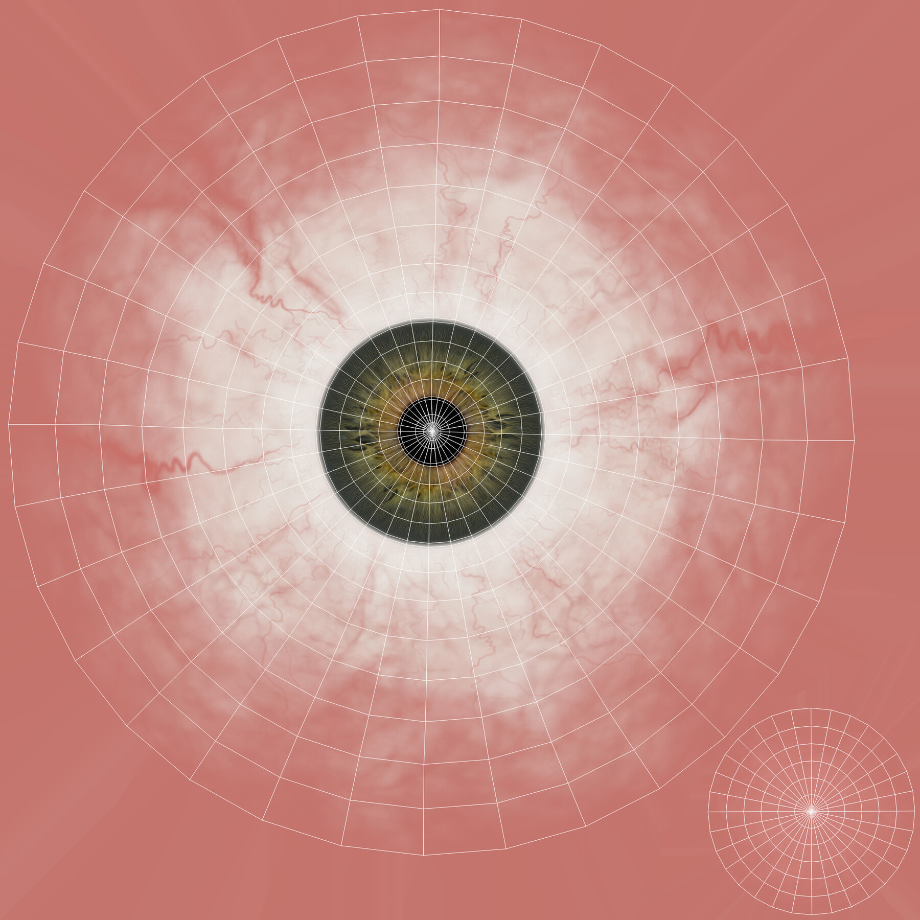 ArtStation - Male Female Base Rig | Game Assets