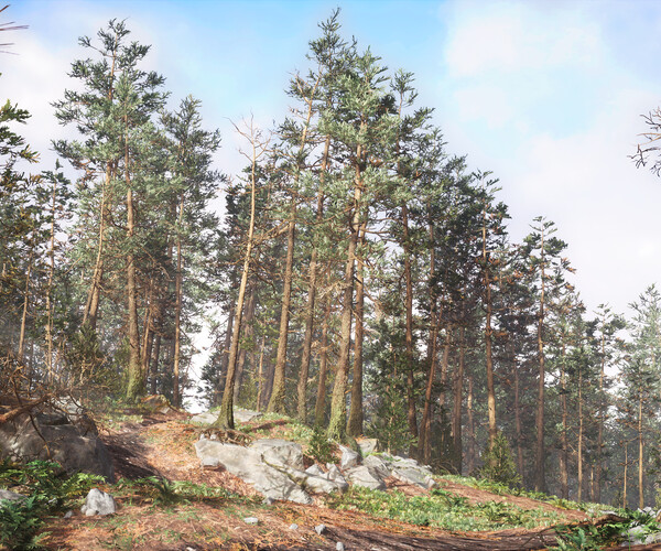 ArtStation - Rocky Pine Forest [Unreal Engine 4 & 5] | Game Assets