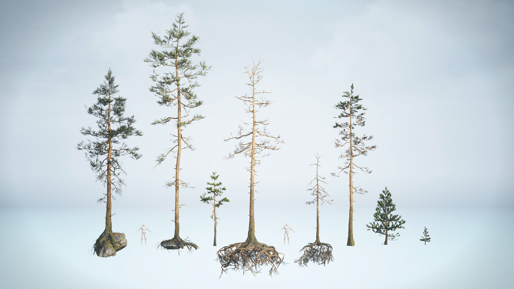 ArtStation - Rocky Pine Forest [Unreal Engine 4 & 5] | Game Assets