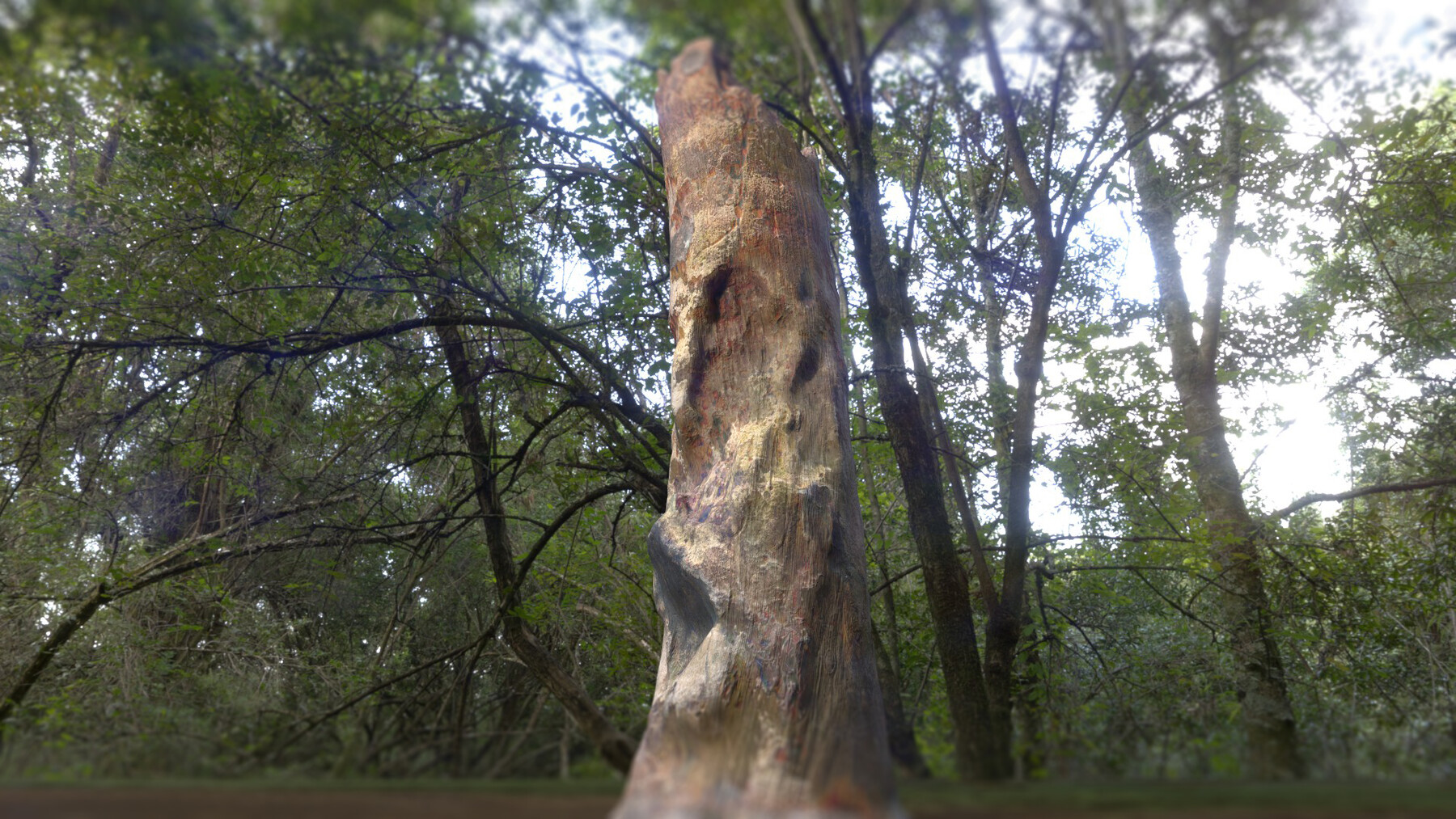 ArtStation - Tree Stump | Game Assets