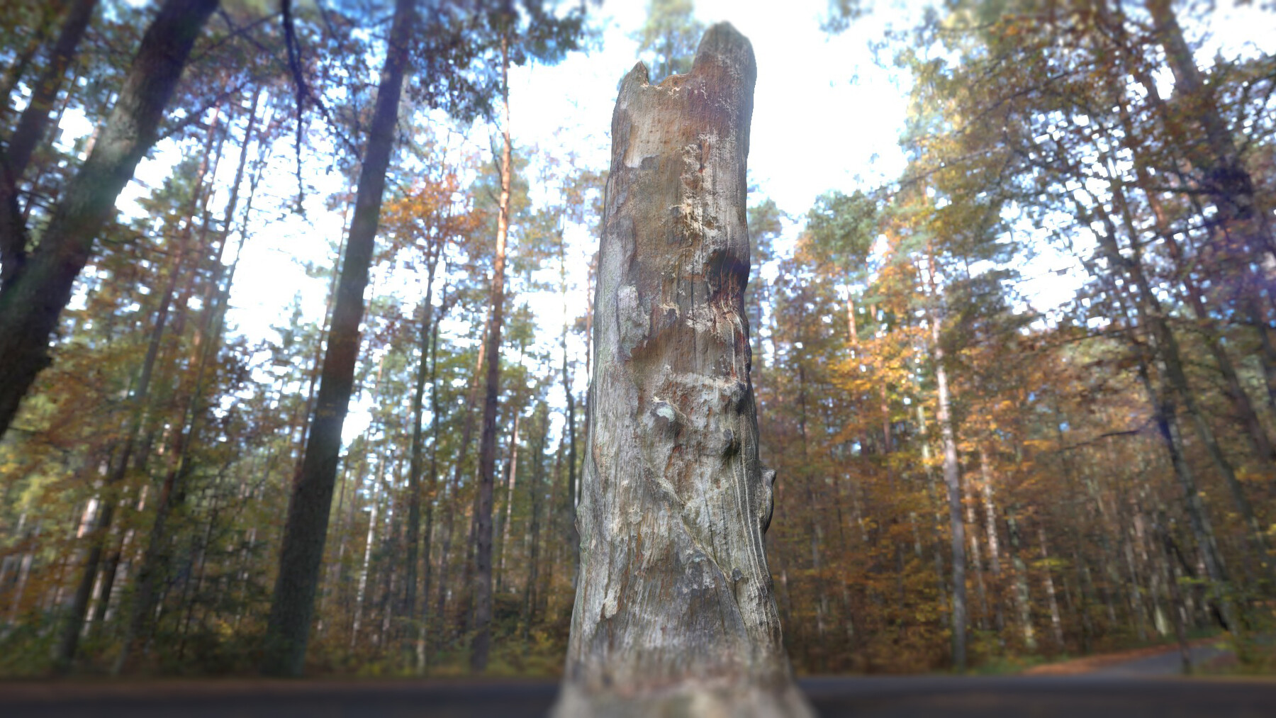 ArtStation - Tree Stump | Game Assets