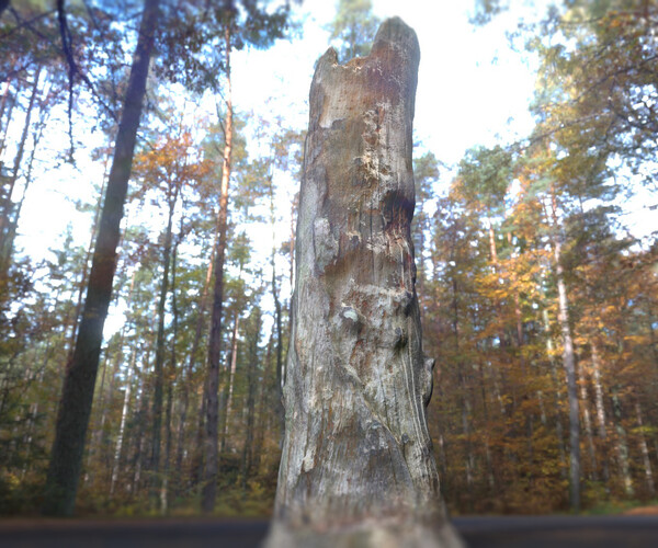 ArtStation - Tree Stump | Game Assets