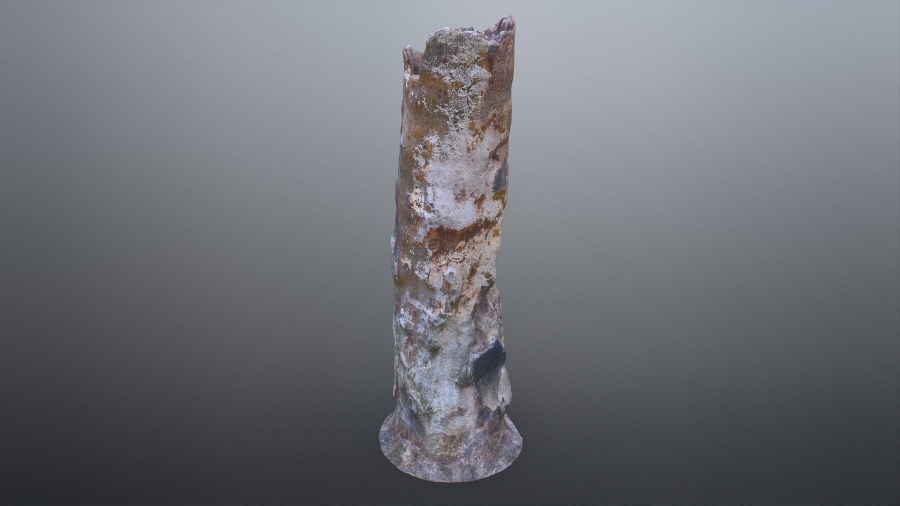 ArtStation - Tree Stump | Game Assets