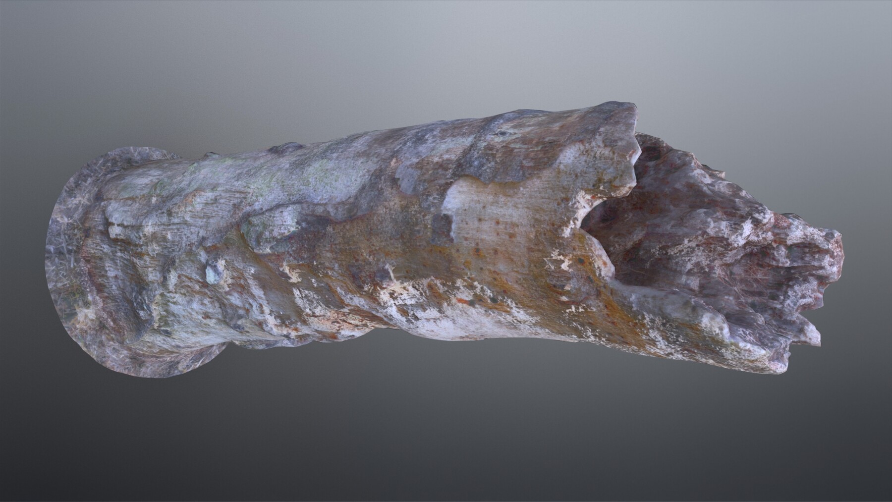 ArtStation - Tree Stump | Game Assets