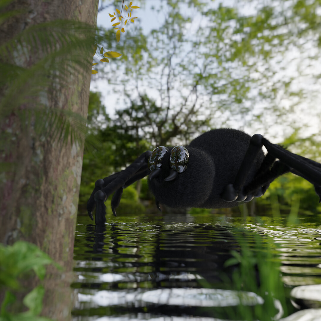 ArtStation - Fully rigged Spider | Resources