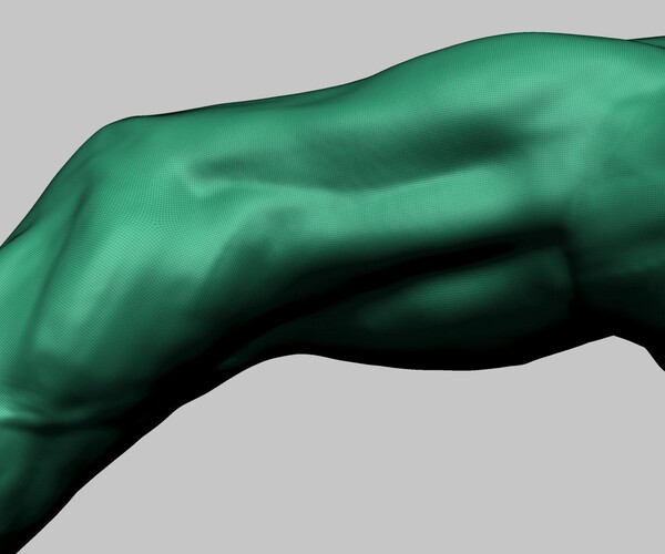 ArtStation - Arm Model Printable A | Resources