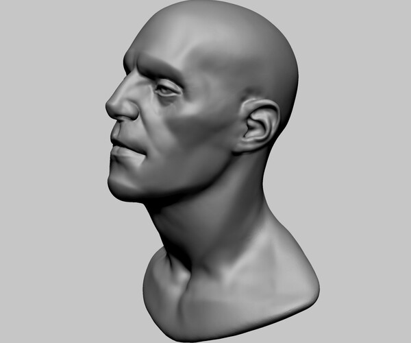 ArtStation - Base Male Head B | Resources